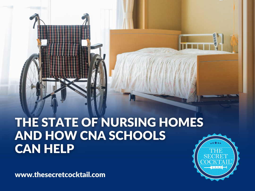 The State of Nursing Homes, and How CNA Schools Can Help? - The Secret ...